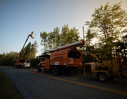 Vegetation Management| Nova Scotia Power