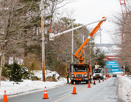 Vegetation Management| Nova Scotia Power